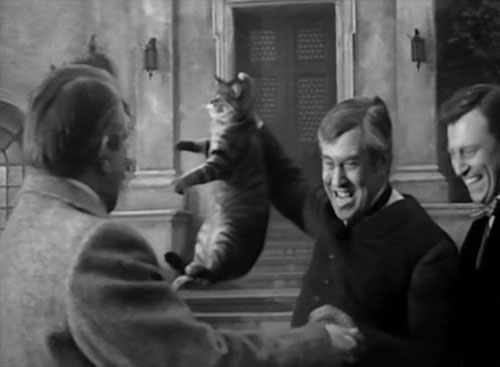 Le spectre du chat « Le cinéma d'Impétueux